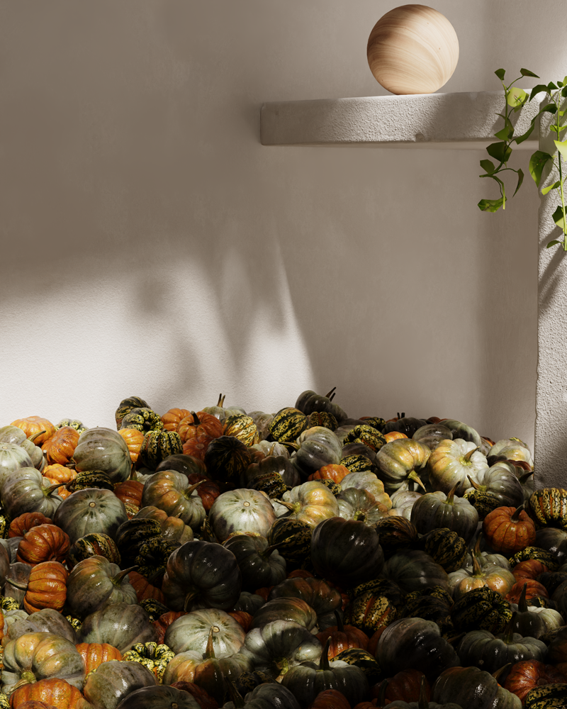 Pumpkin Playground – Saurabh Vohra