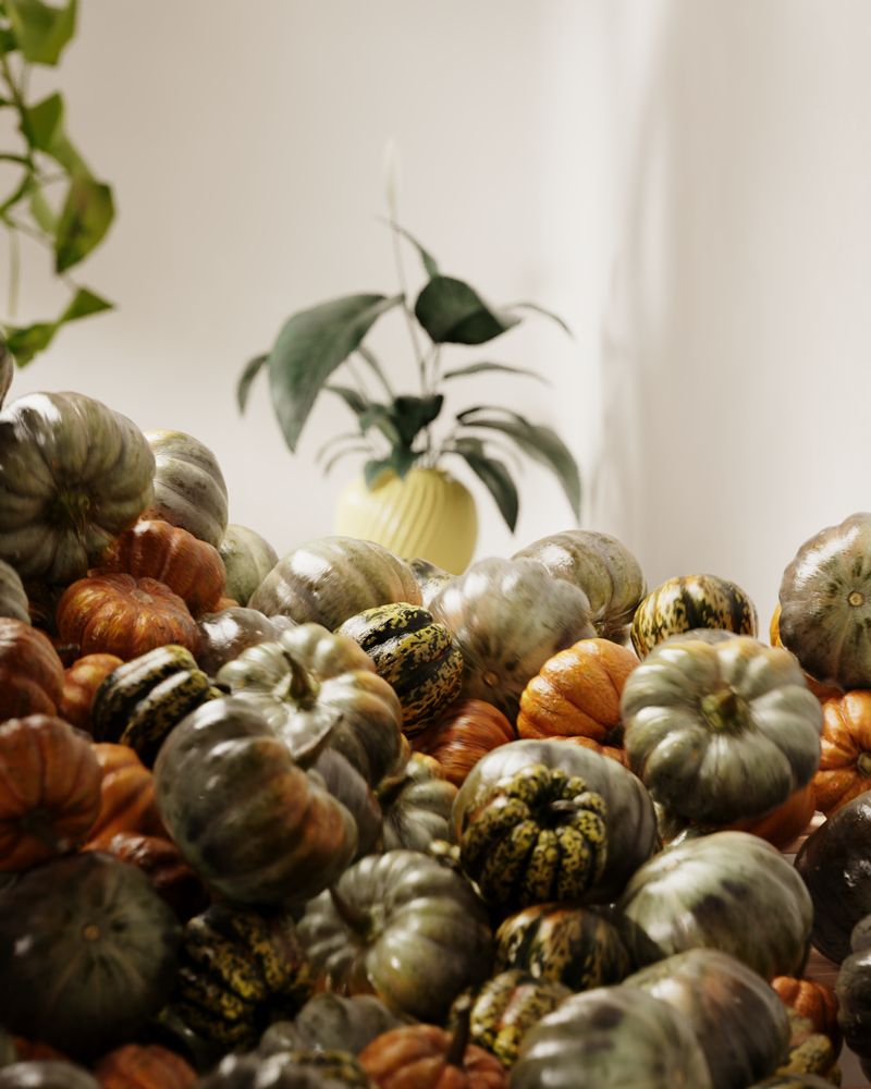 Pumpkin Playground – Saurabh Vohra